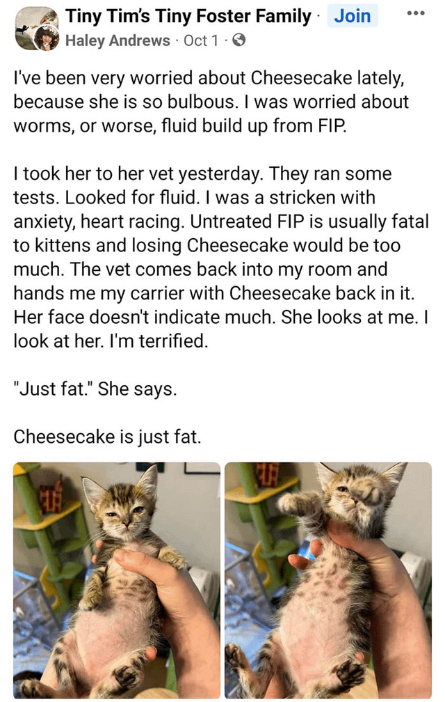 Glad Cheesecake Is Okay | Know Your Meme