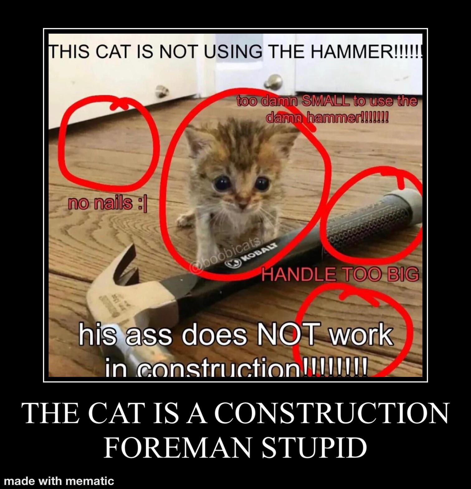 Cat Foreman | /r/okbuddyretard | OkBuddyRetard | Know Your Meme