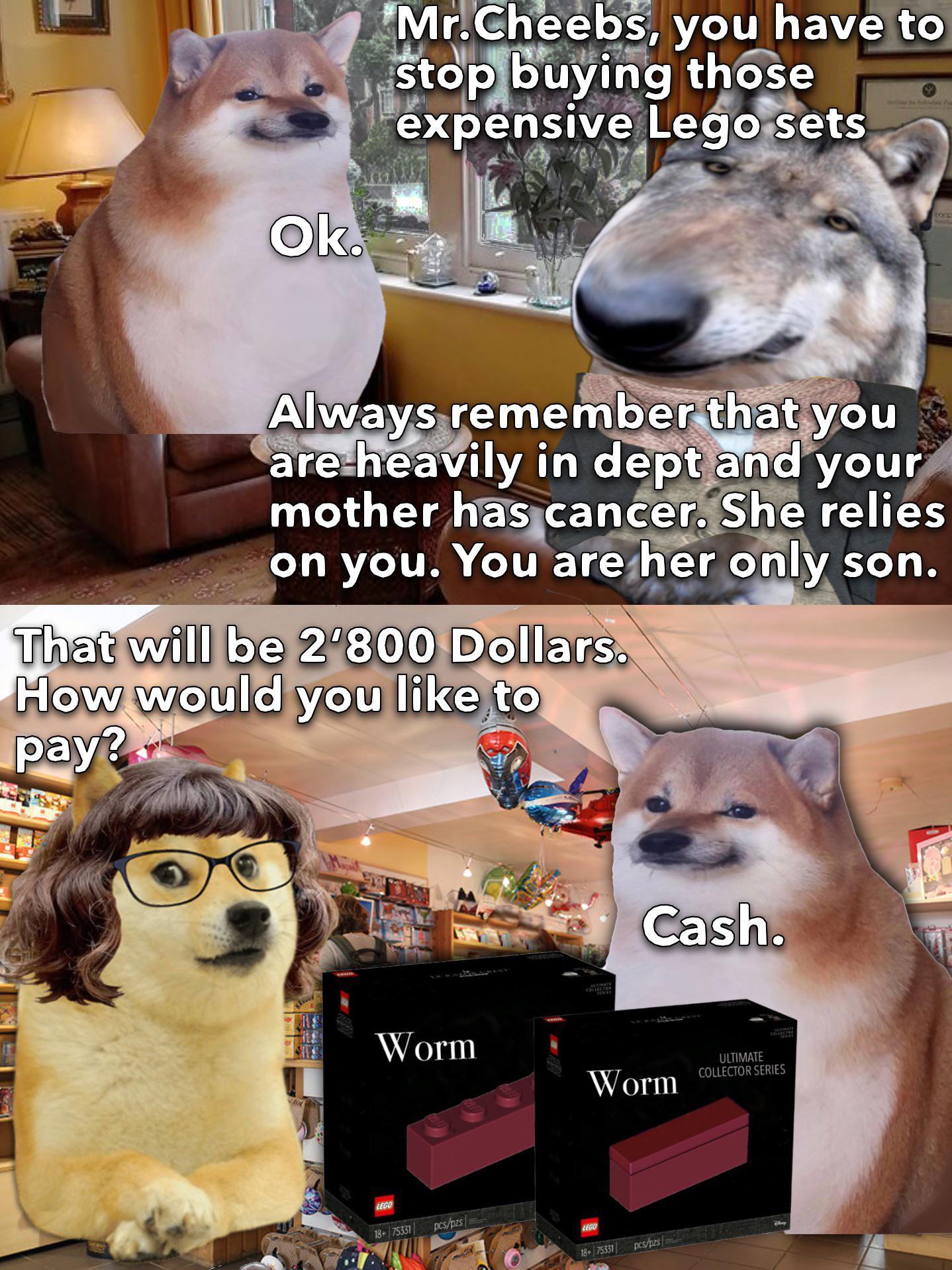 Le Cheebs who likes Lego has arrived | /r/dogelore | Ironic Doge Memes ...