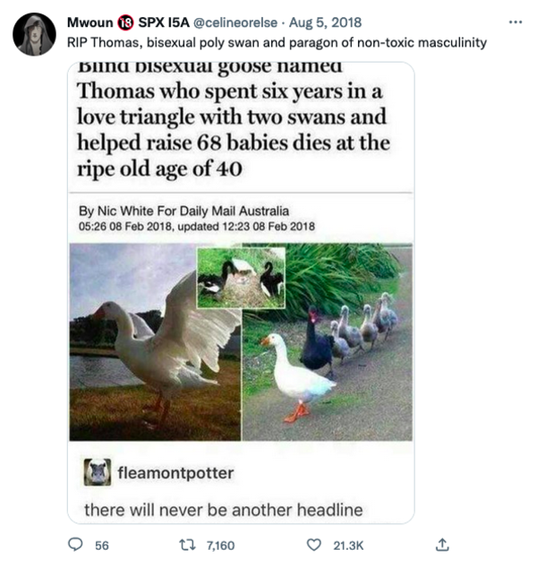 Poly Polyamory polycule | Poly / Polycule / Polyamory | Know Your Meme