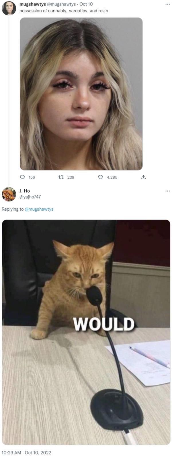 Mughsawty's Would | "Would" Reaction Images | Know Your Meme