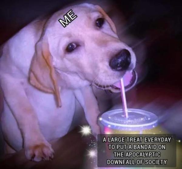 A large treat every day keeps existential dread away | Pepsi Dog | Know ...