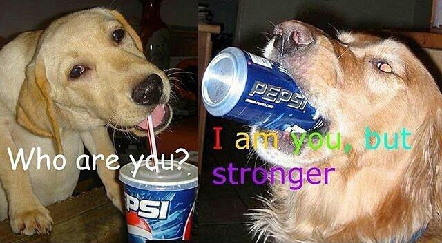 i am you but stronger | Pepsi Dog | Know Your Meme