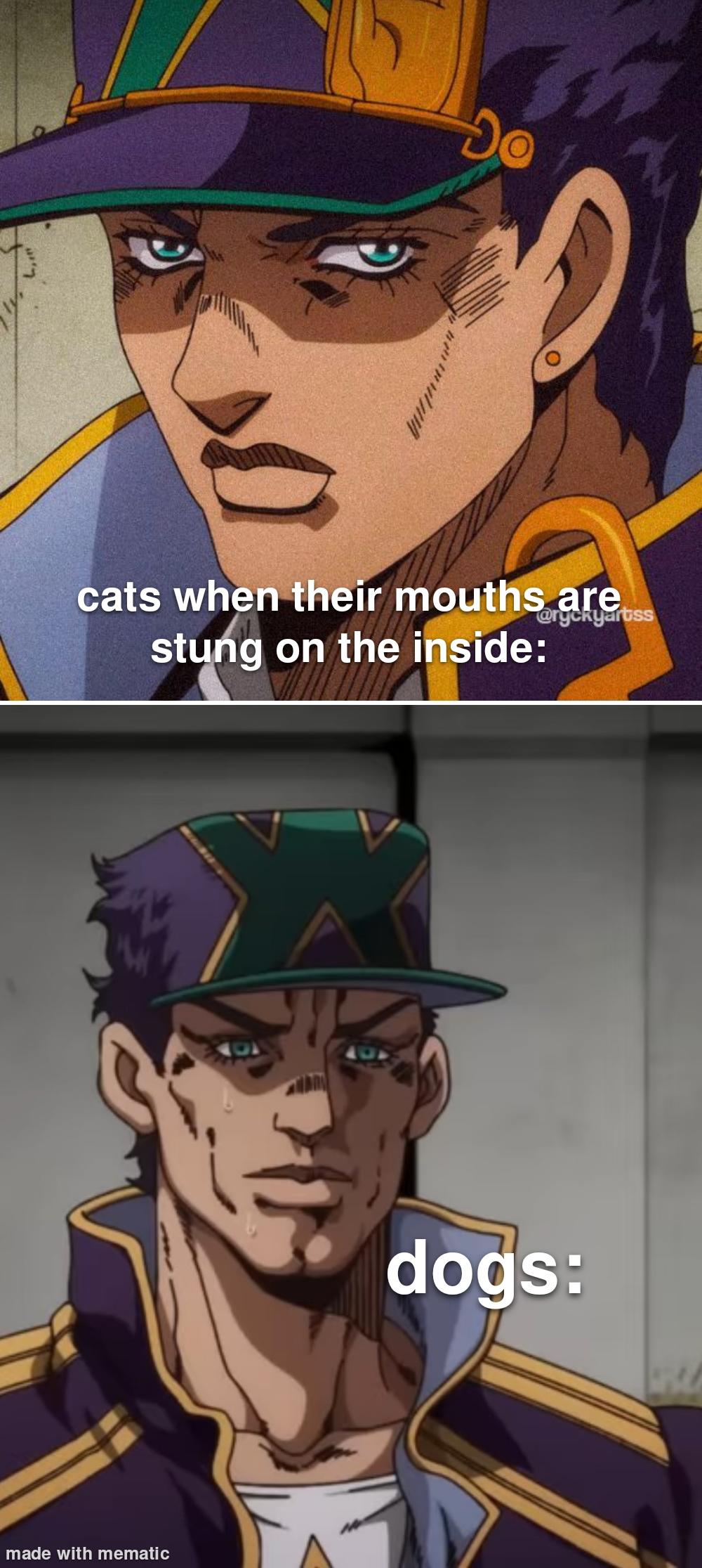 Cats go Chad mode | /r/ShitPostCrusaders/ | JoJo's Bizarre Adventure ...