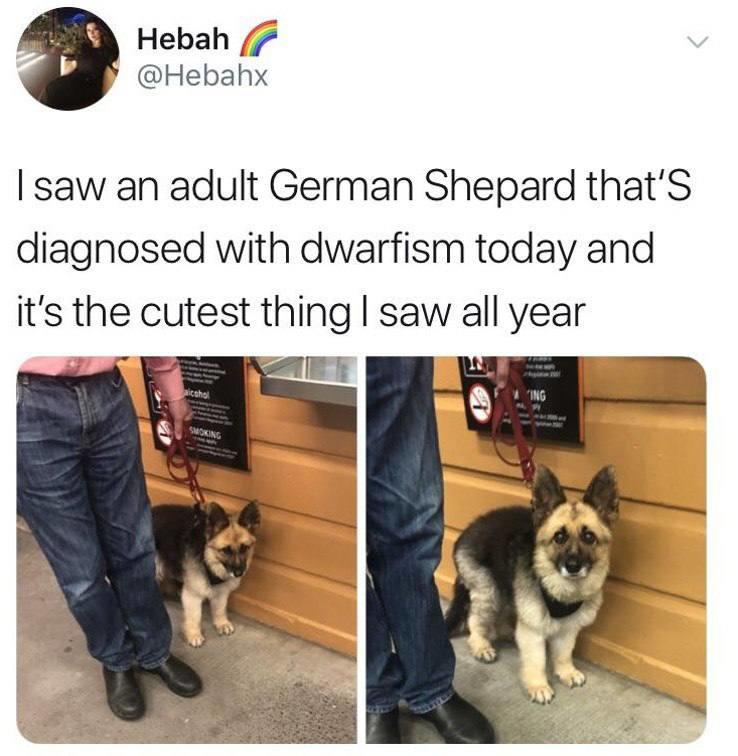Dont Be Shy Now Buddy R Wholesomememes Wholesome Memes Know
