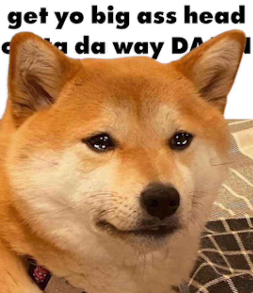 DAMN | /r/dogelore | Ironic Doge Memes | Know Your Meme