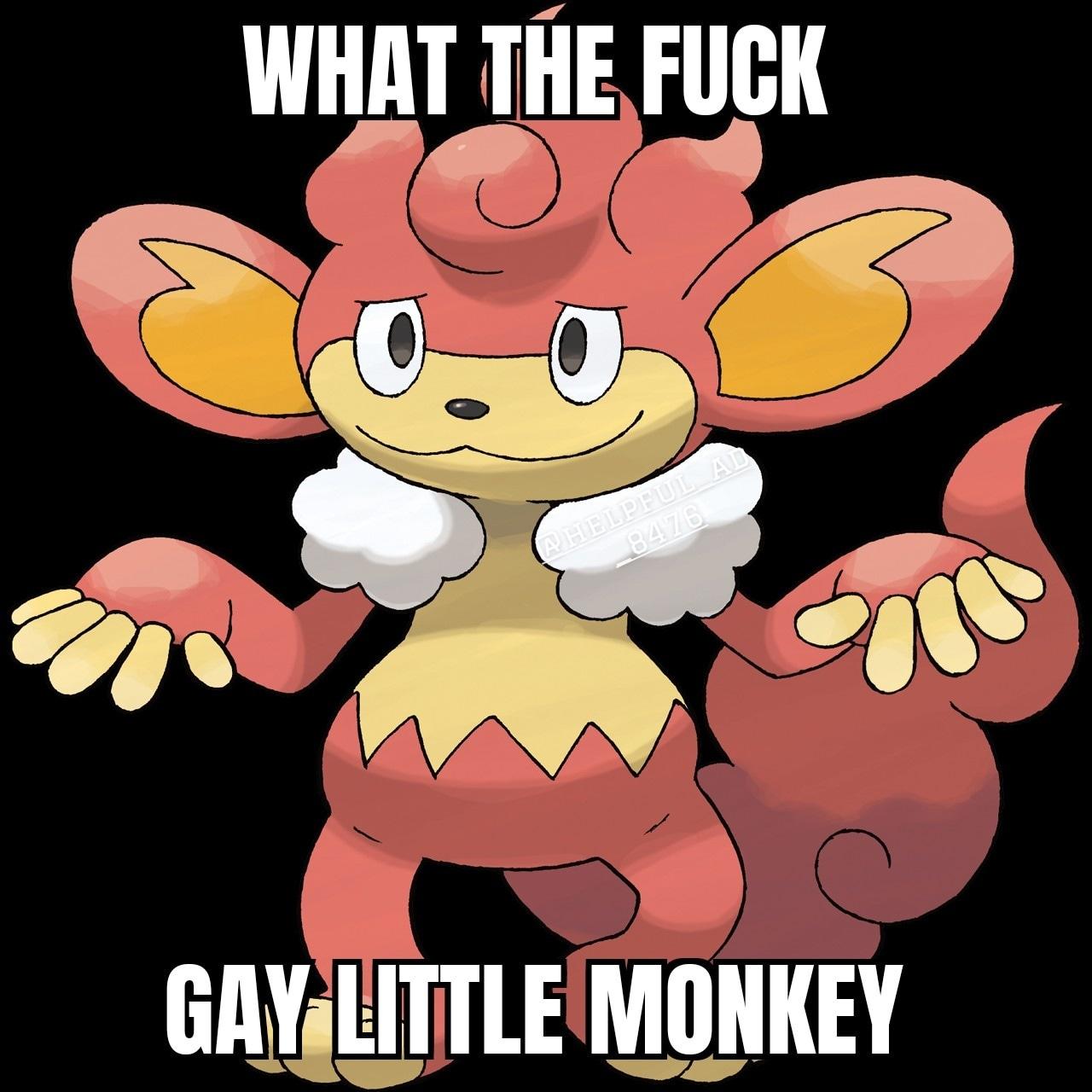 WTF GAY MONKEY | /r/okbuddyretard | OkBuddyRetard | Know Your Meme