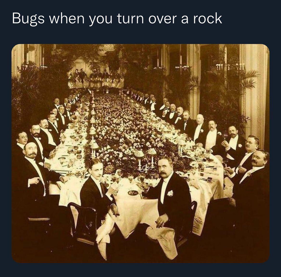 Bugs When You Turn Over A Rock | Bugs When You Lift Up A Rock | Know ...