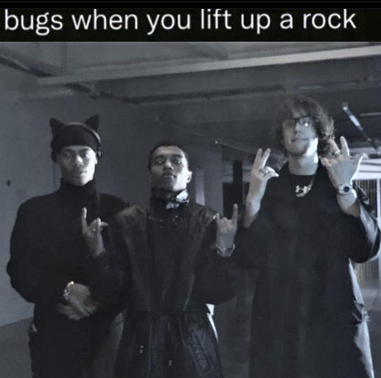 Bugs When You Lift Up A Rock (Meme) | Bugs When You Lift Up A Rock ...