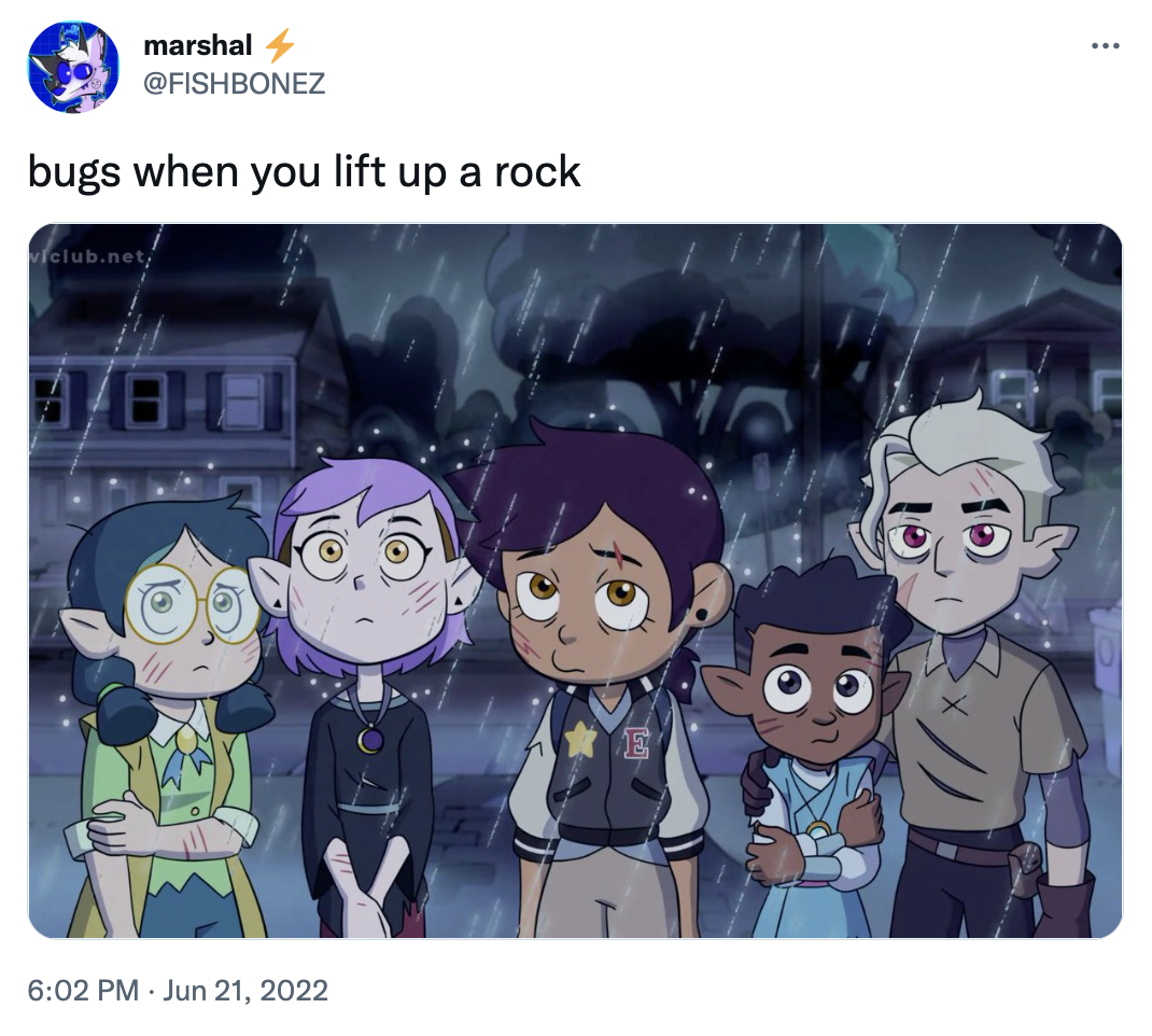 Bugs When You Lift Up A Rock (meme) | Bugs When You Lift Up A Rock ...