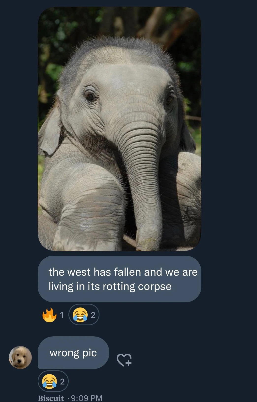 Wrong Pic | The West Has Fallen. Billions Must Die | Know Your Meme