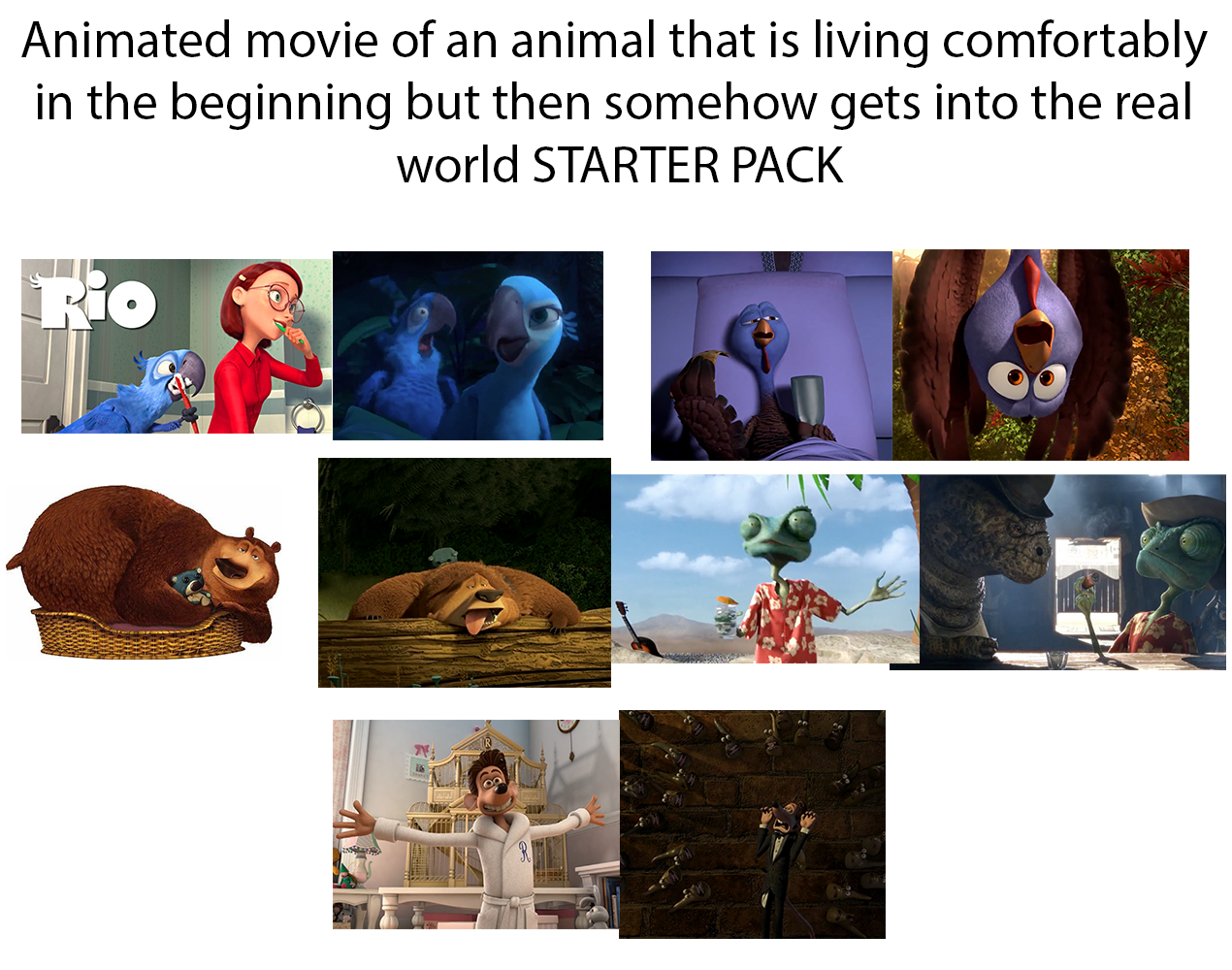 Animated movie of an animal that is living comfortably in the beginning ...