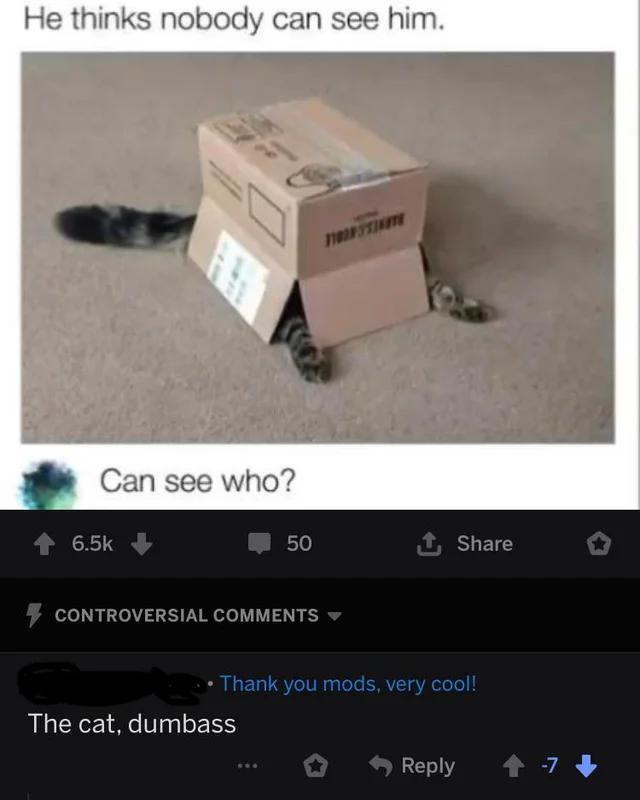 I Don't See a Cat | r/woooosh | Know Your Meme