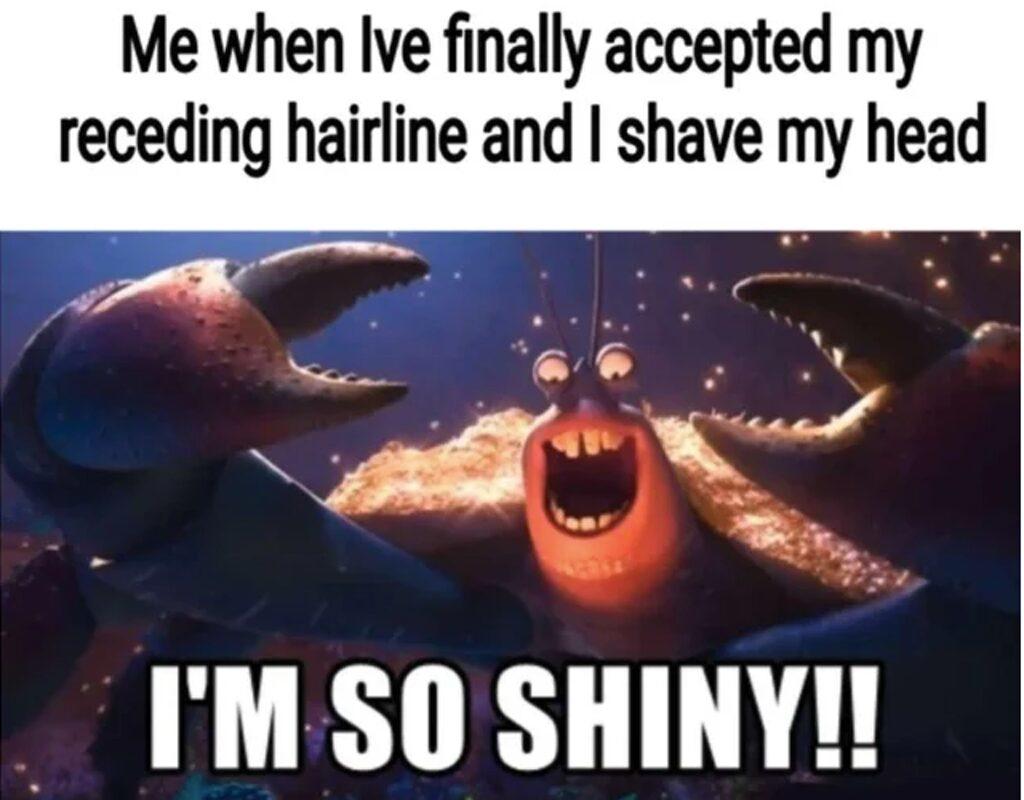 Something funny for those with receding hairlines | /r/wholesomememes ...
