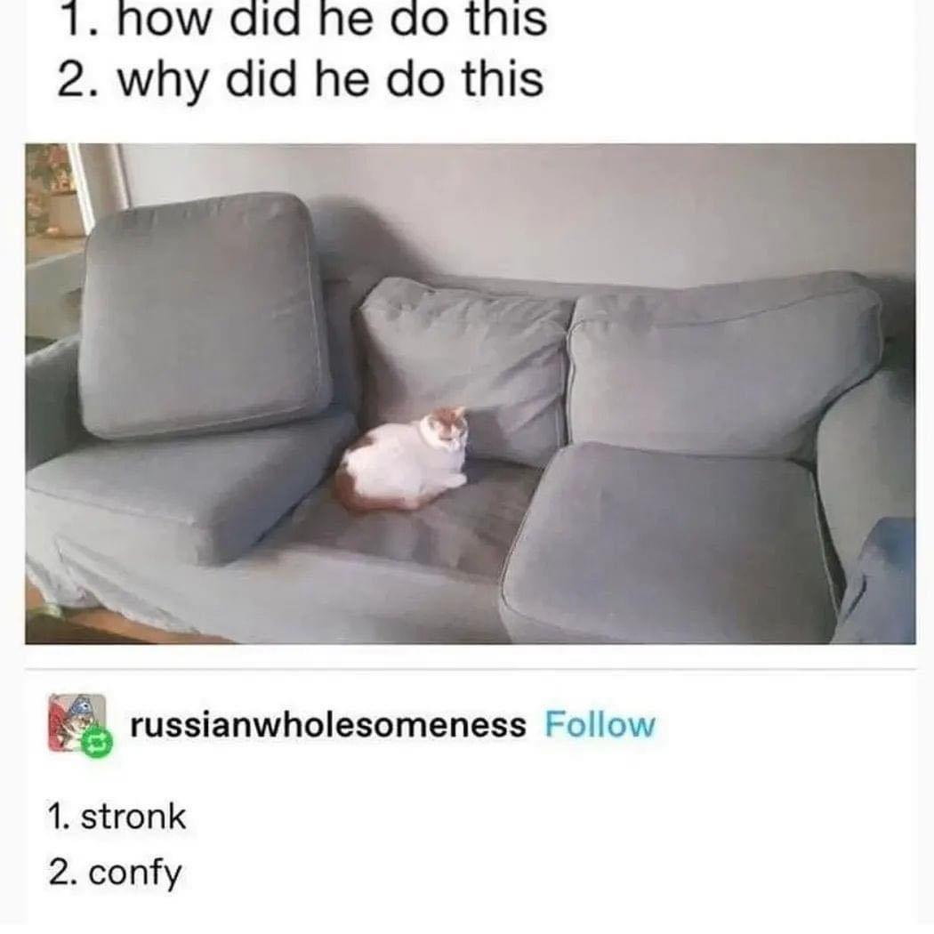 Stronk and comfy | /r/wholesomememes | Wholesome Memes | Know Your Meme