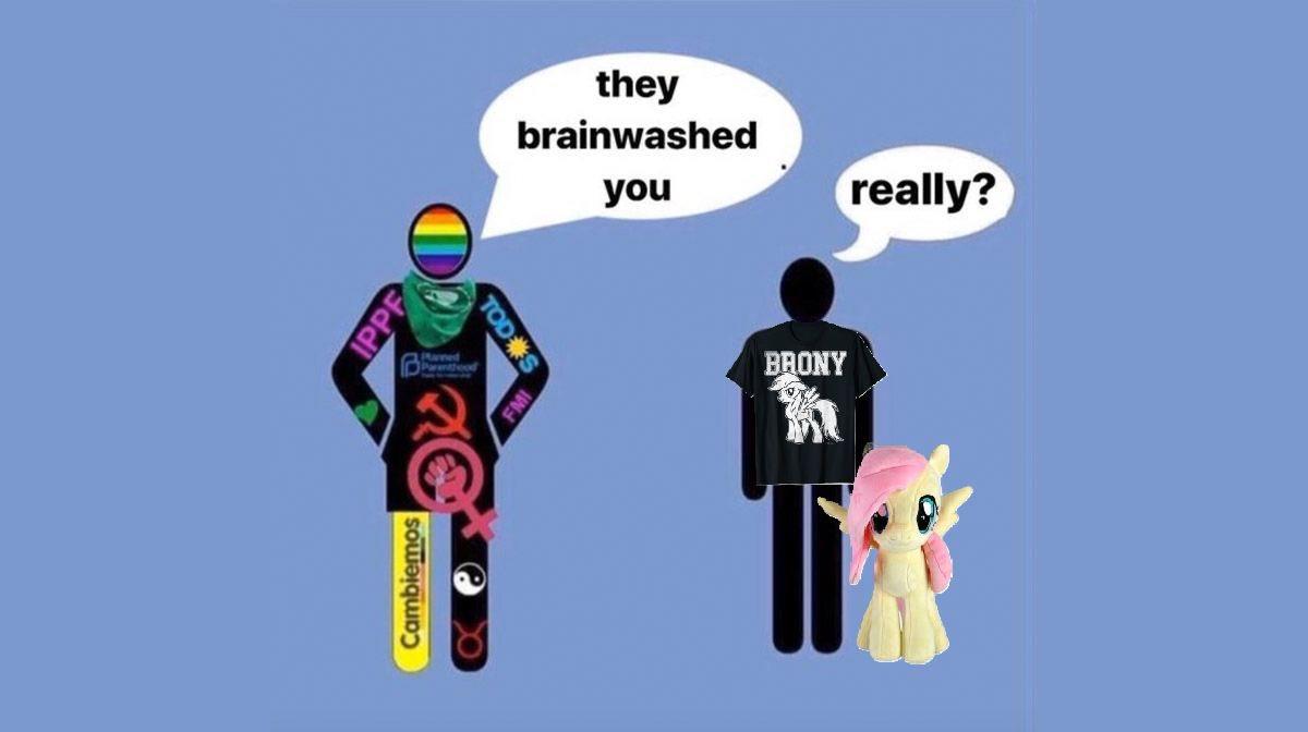 Brony | They Brainwashed You | Know Your Meme
