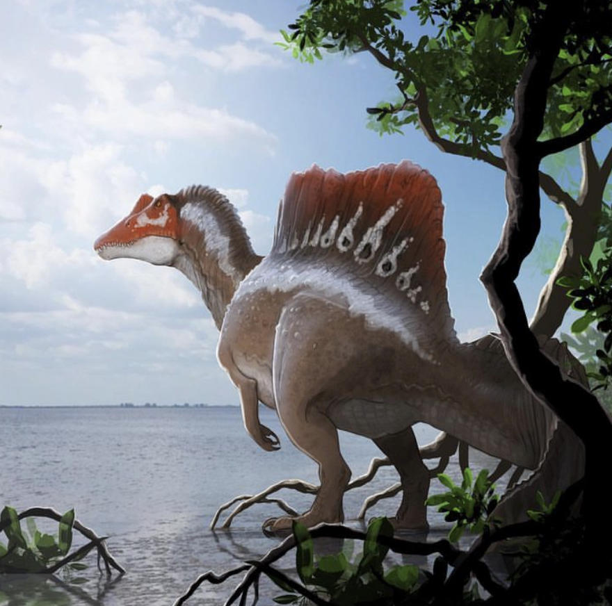 Jurassic park spinosaurus fanart | Jurassic Park | Know Your Meme