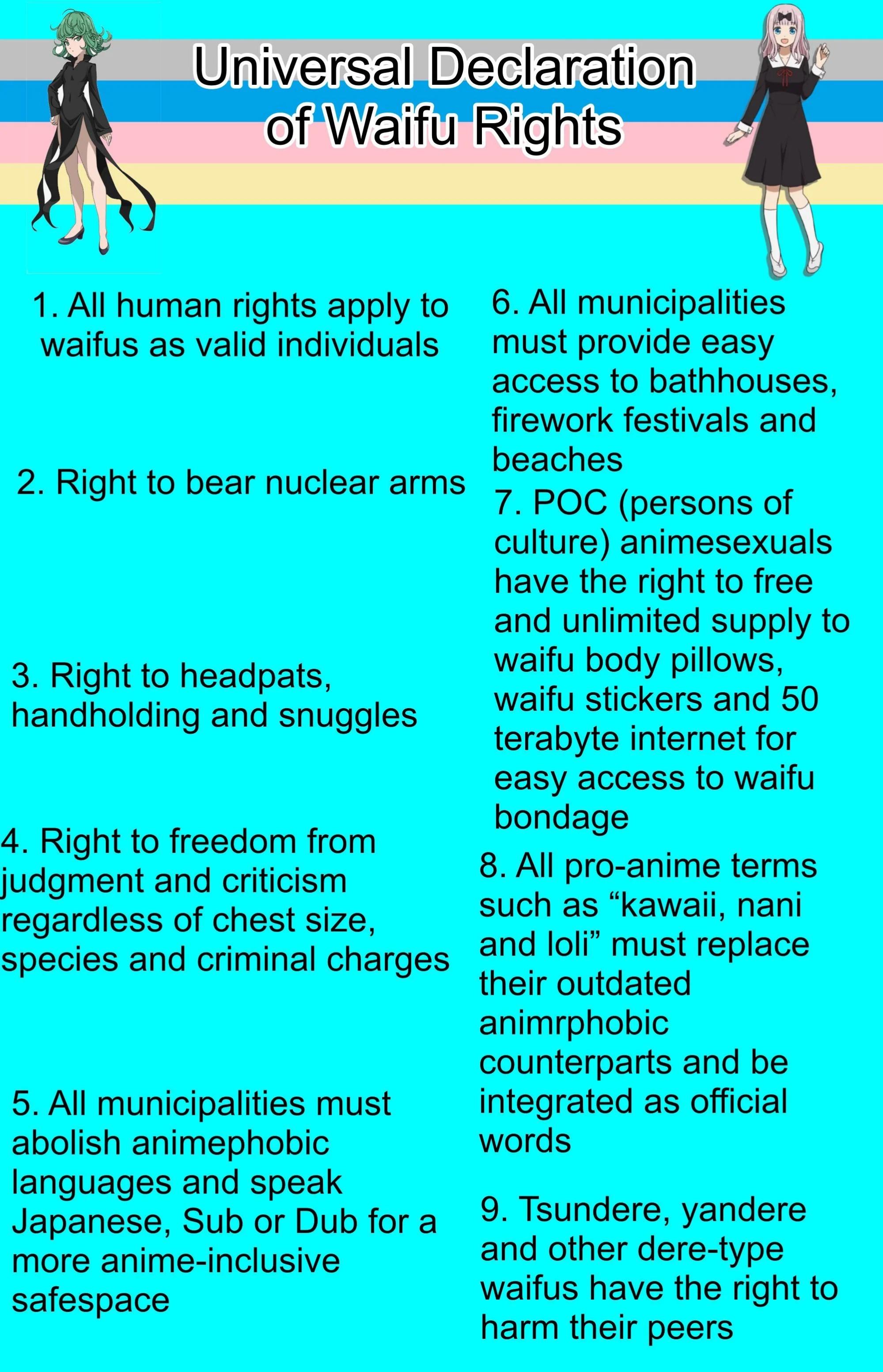 Waifu rights | Waifu | Know Your Meme