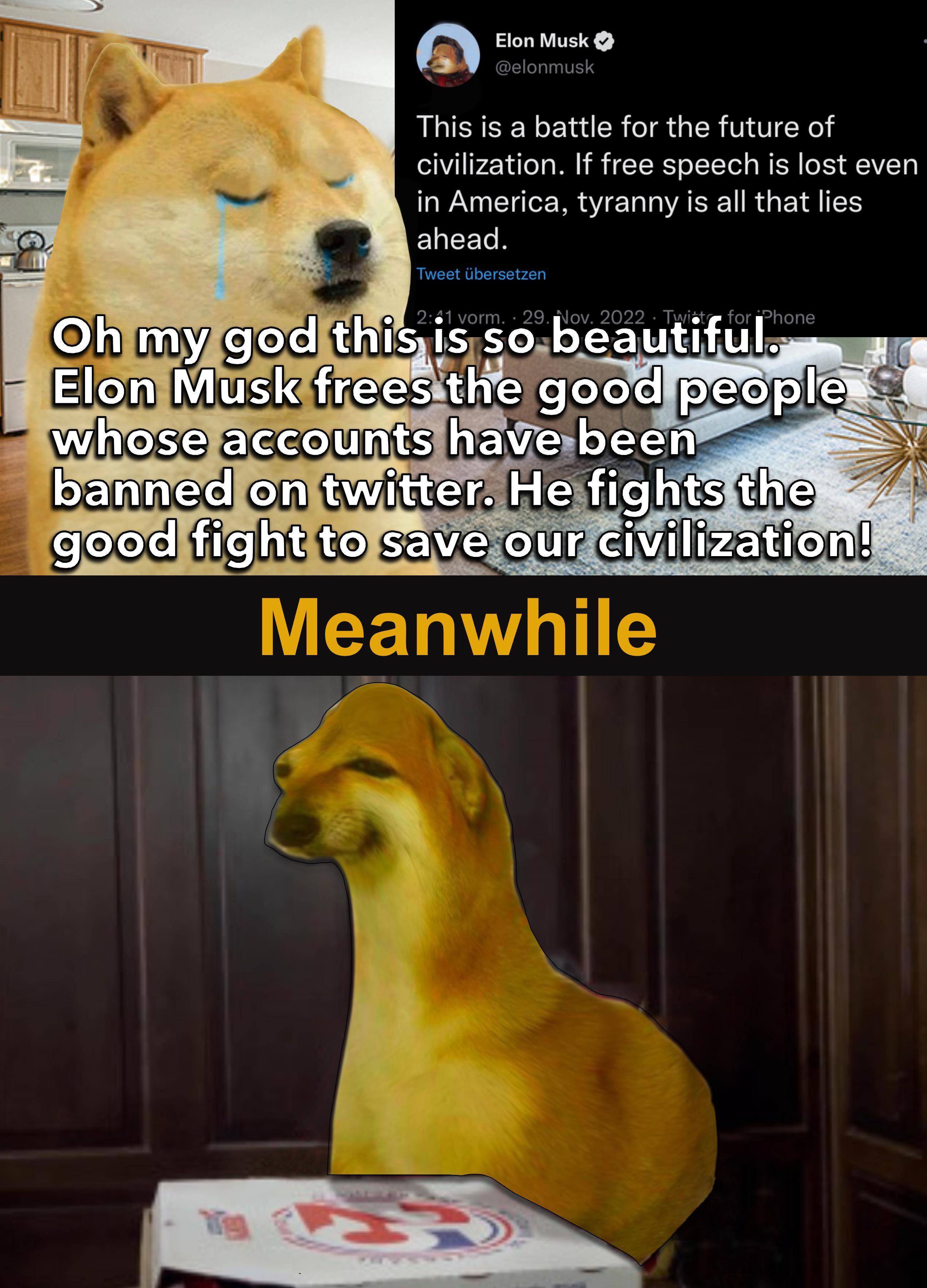 Le Pizza in Romania has arrived | /r/dogelore | Ironic Doge Memes ...