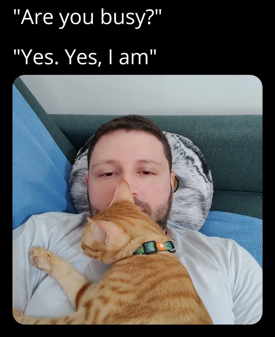 Extremely busy | /r/wholesomememes | Wholesome Memes | Know Your Meme