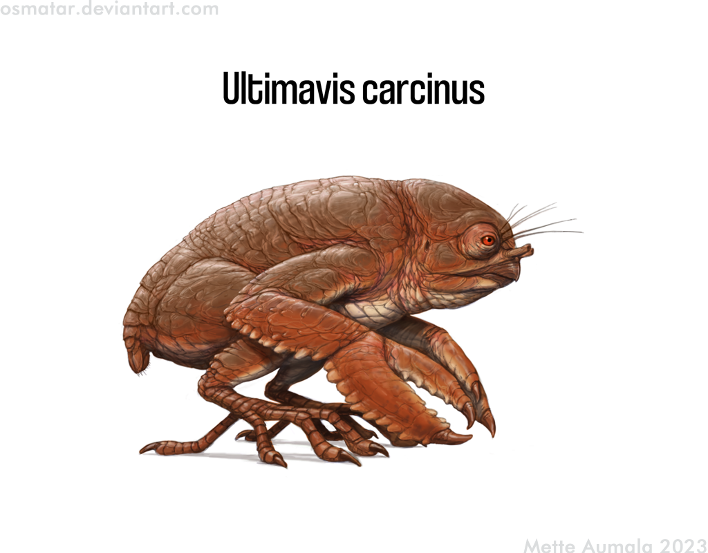 Crab Bird by Osmatar | Carcinization | Know Your Meme