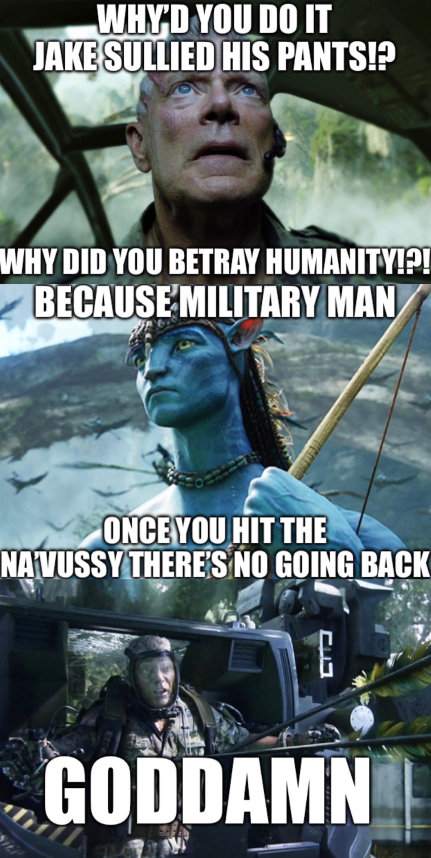 Avatar meme | Avatar (Film) | Know Your Meme