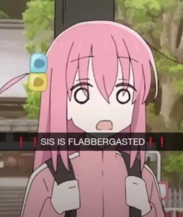 sis is flabbergasted | Bro Is Flabbergasted | Know Your Meme
