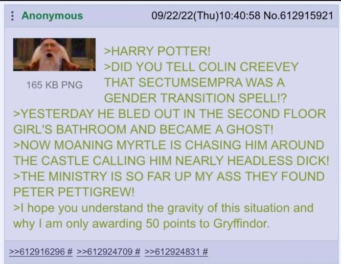 Dumbledore asked calmly | /r/Greentext | Greentext Stories | Know Your Meme