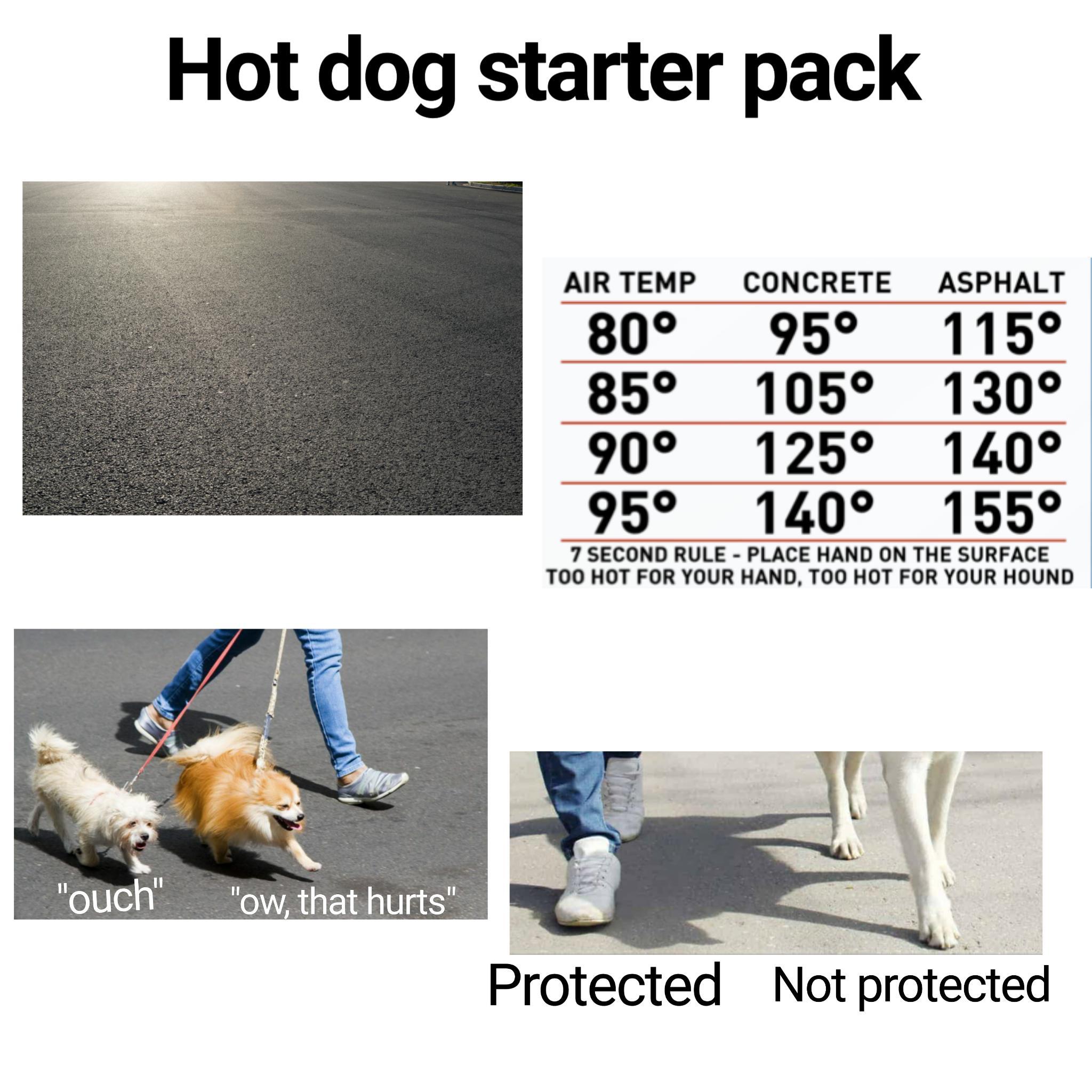 Hot dog starter pack | /r/starterpacks | Starter Packs | Know Your Meme