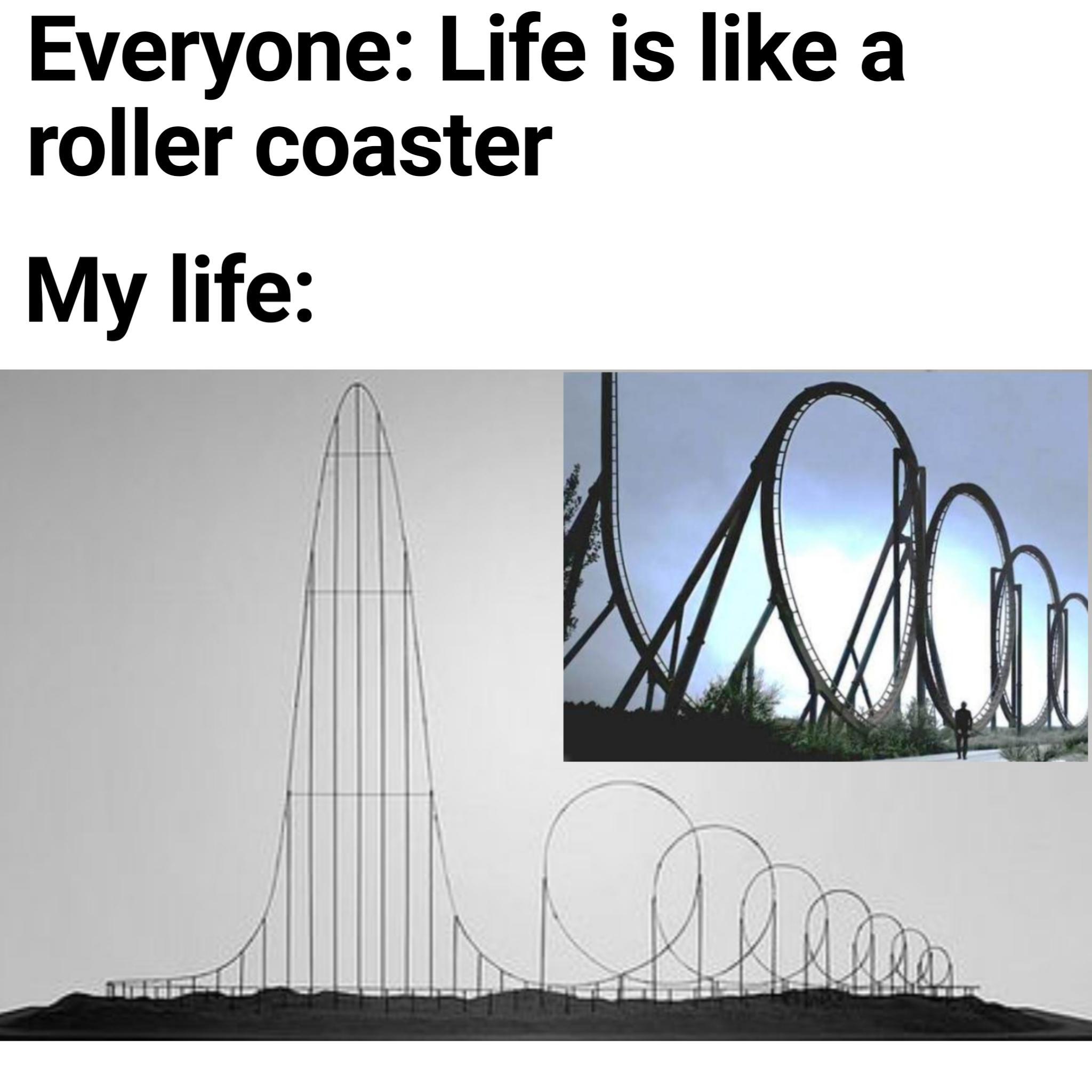 Life Is Like a Roller Coaster | Euthanasia Coaster | Know Your Meme