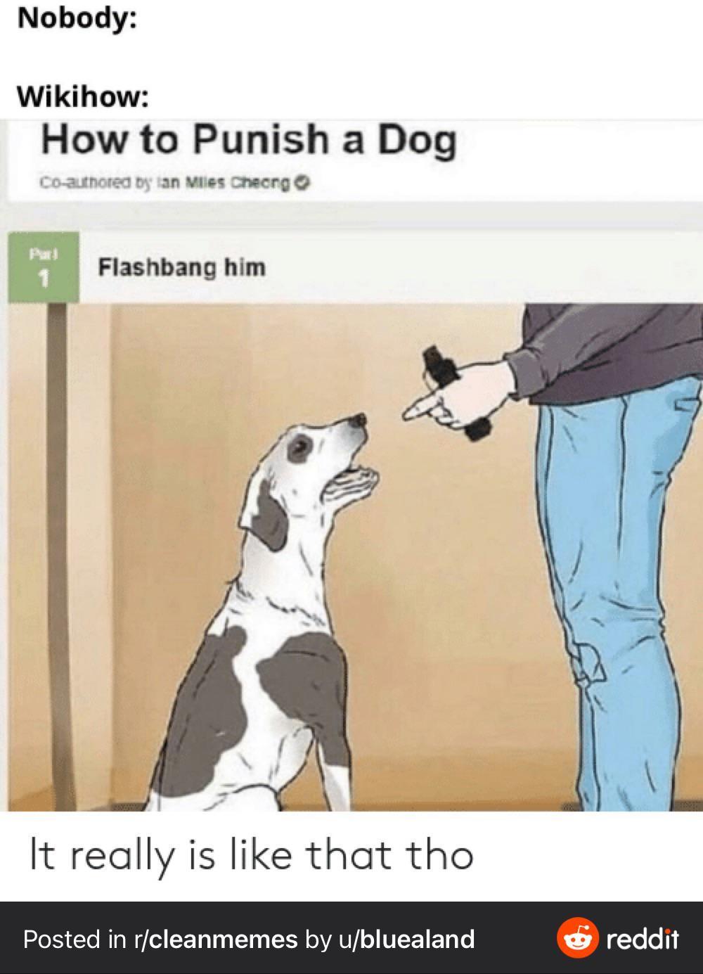 Come here buddy | /r/okbuddyretard | OkBuddyRetard | Know Your Meme