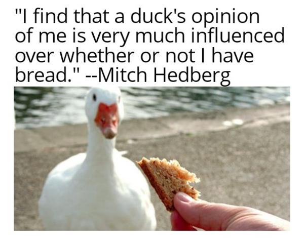 Unlike any other | /r/wholesomememes | Wholesome Memes | Know Your Meme