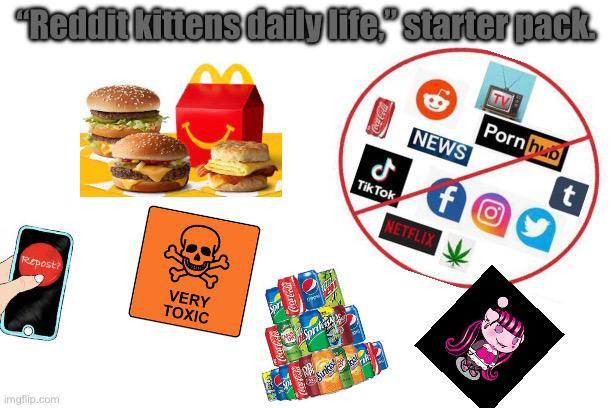 “Reddit kittens daily life,” starter pack. | /r/starterpacks | Starter ...