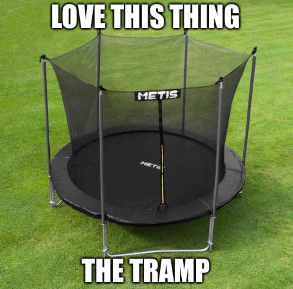 Love this thing, the tramp | Love This Animal | Know Your Meme