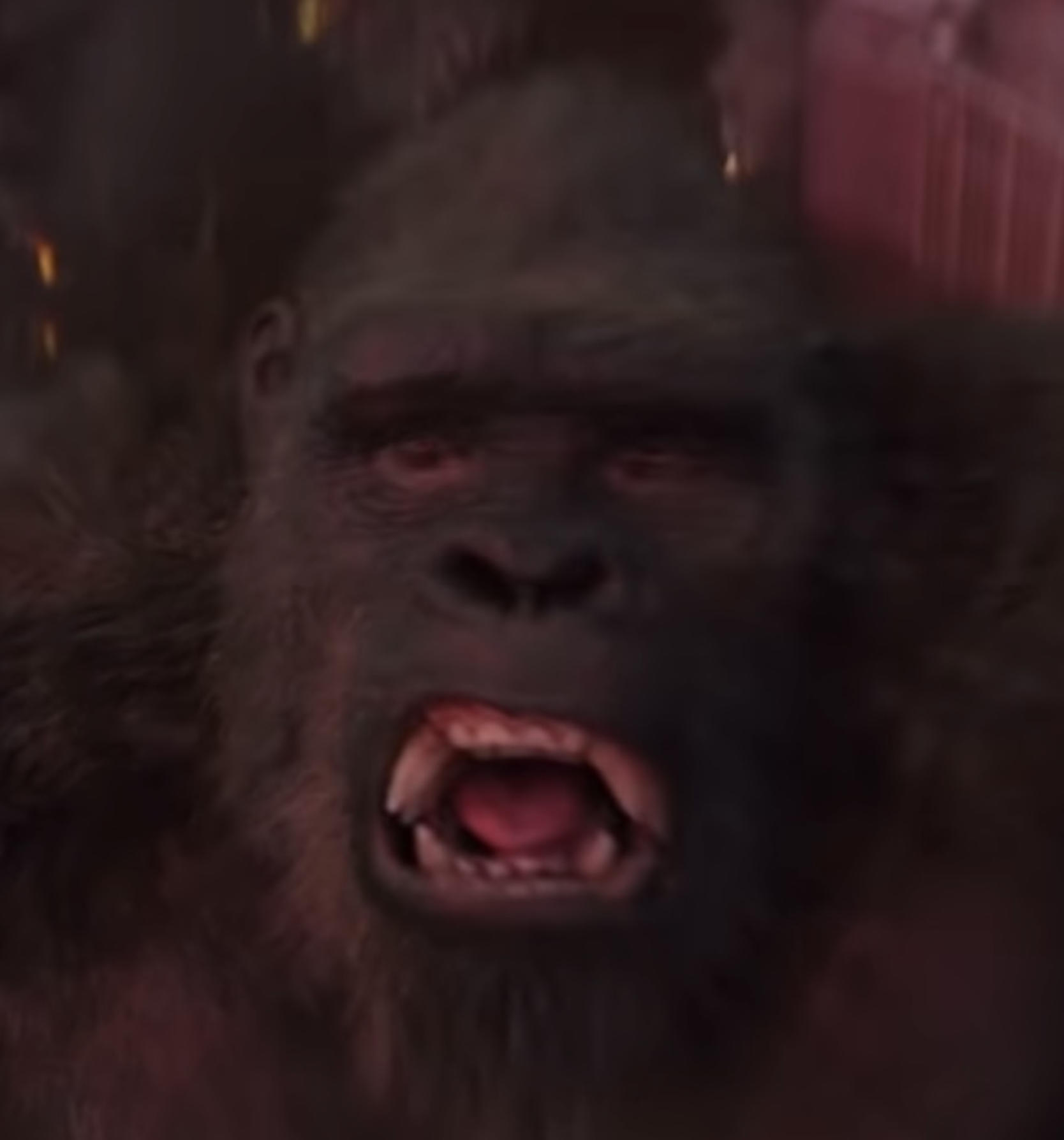King Kong face | Godzilla vs. Kong | Know Your Meme