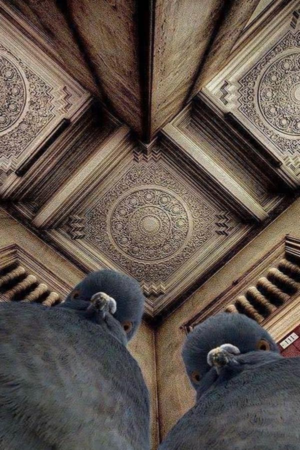 "The Lannisters send their regards" | /r/FreeFolk | /r/freefolk | Know ...