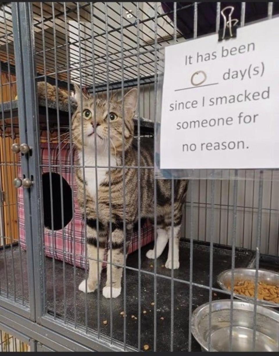 cutest precaution or you can say a reality! | /r/wholesomememes ...