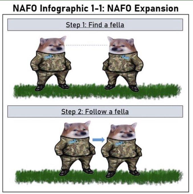 NAFO Expansion | NAFO / North Atlantic Fella Organization | Know Your Meme