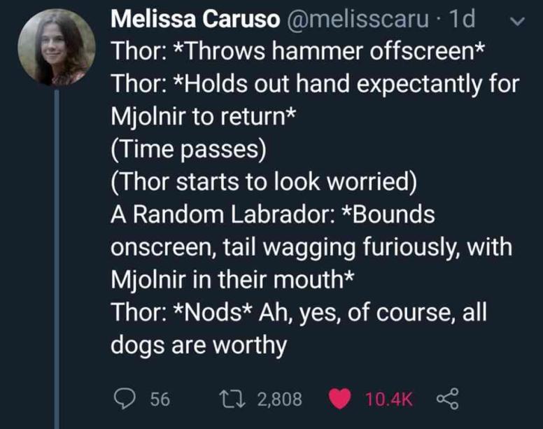 Dog-Thor spinoff when | Thor | Know Your Meme