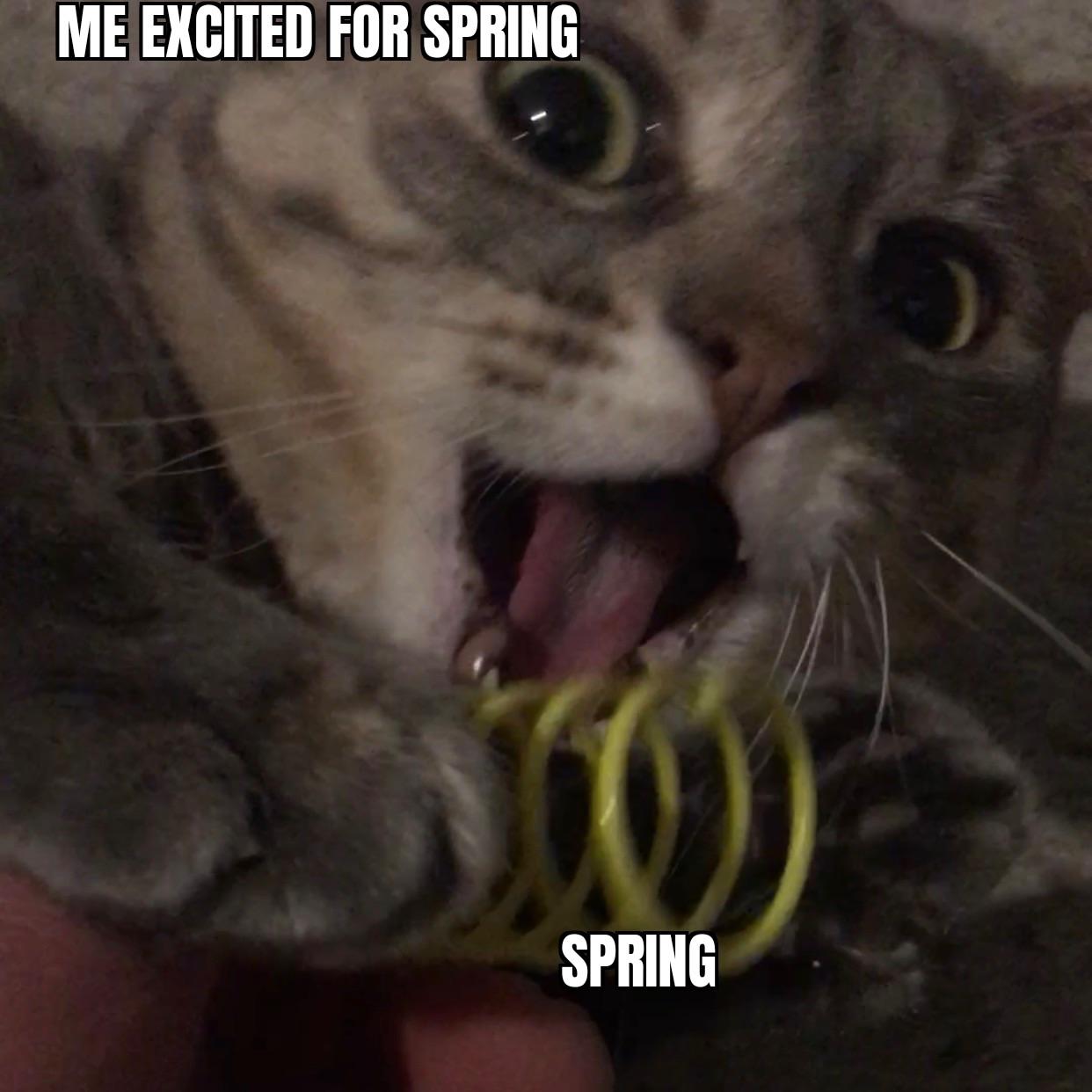 Only 59 more days! | /r/wholesomememes | Wholesome Memes | Know Your Meme