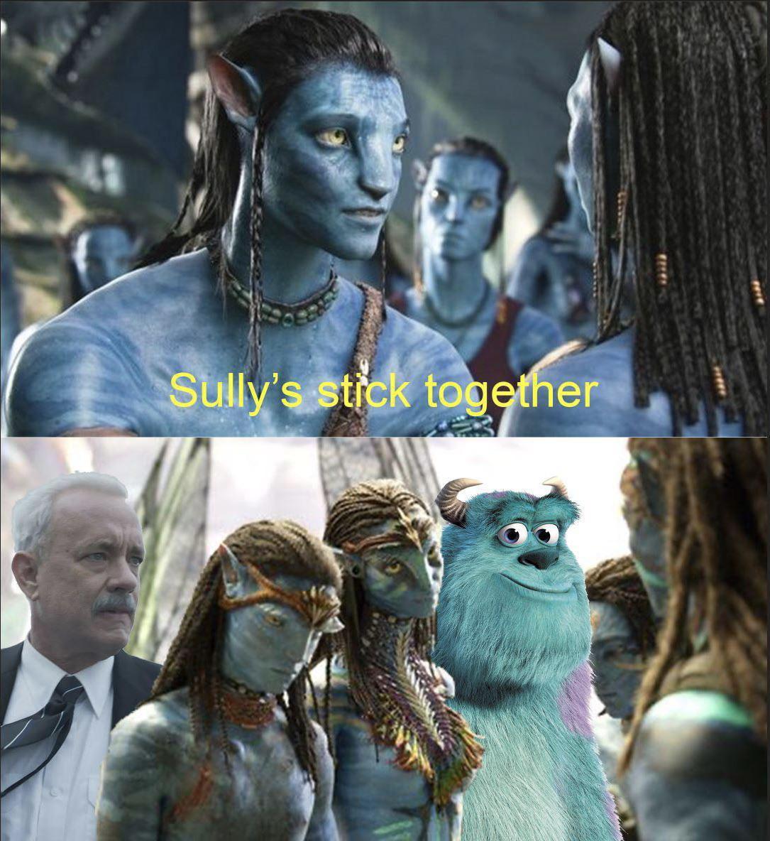 Sullys Stick Together Avatar Film Know Your Meme