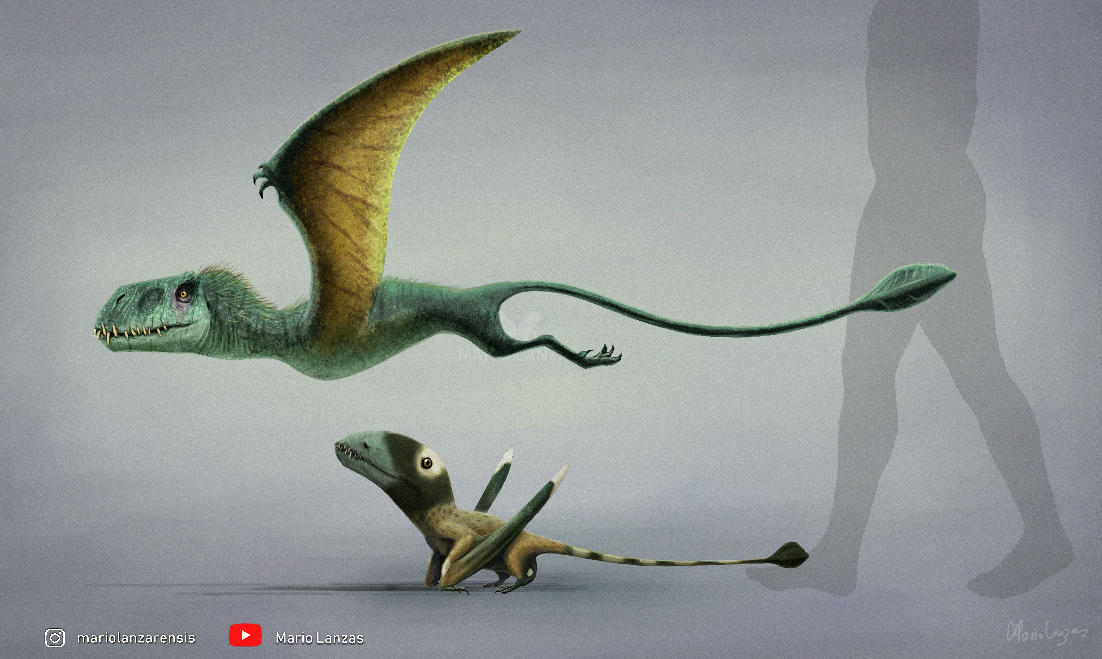 Jurassic world vs science Dimorphodon | Jurassic Park | Know Your Meme