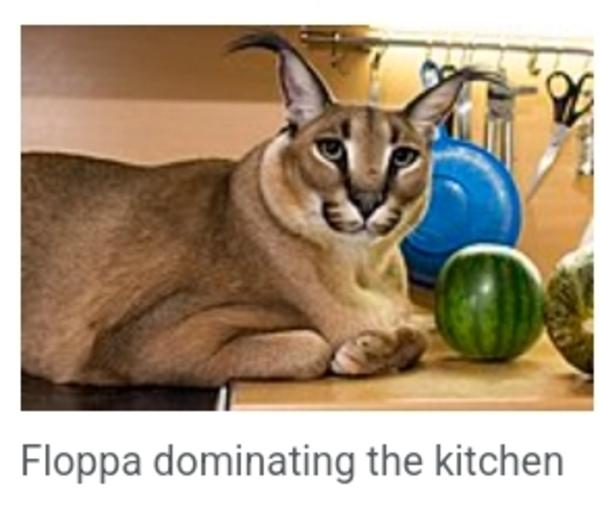 Wikipedia article on Big Floppa | Big Floppa | Know Your Meme