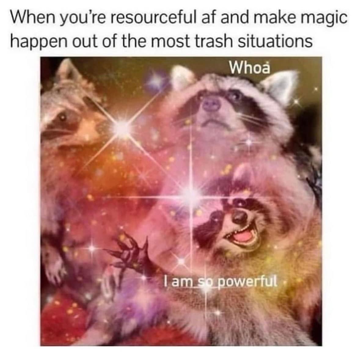 We should all embrace our inner raccoon | /r/wholesomememes | Wholesome ...