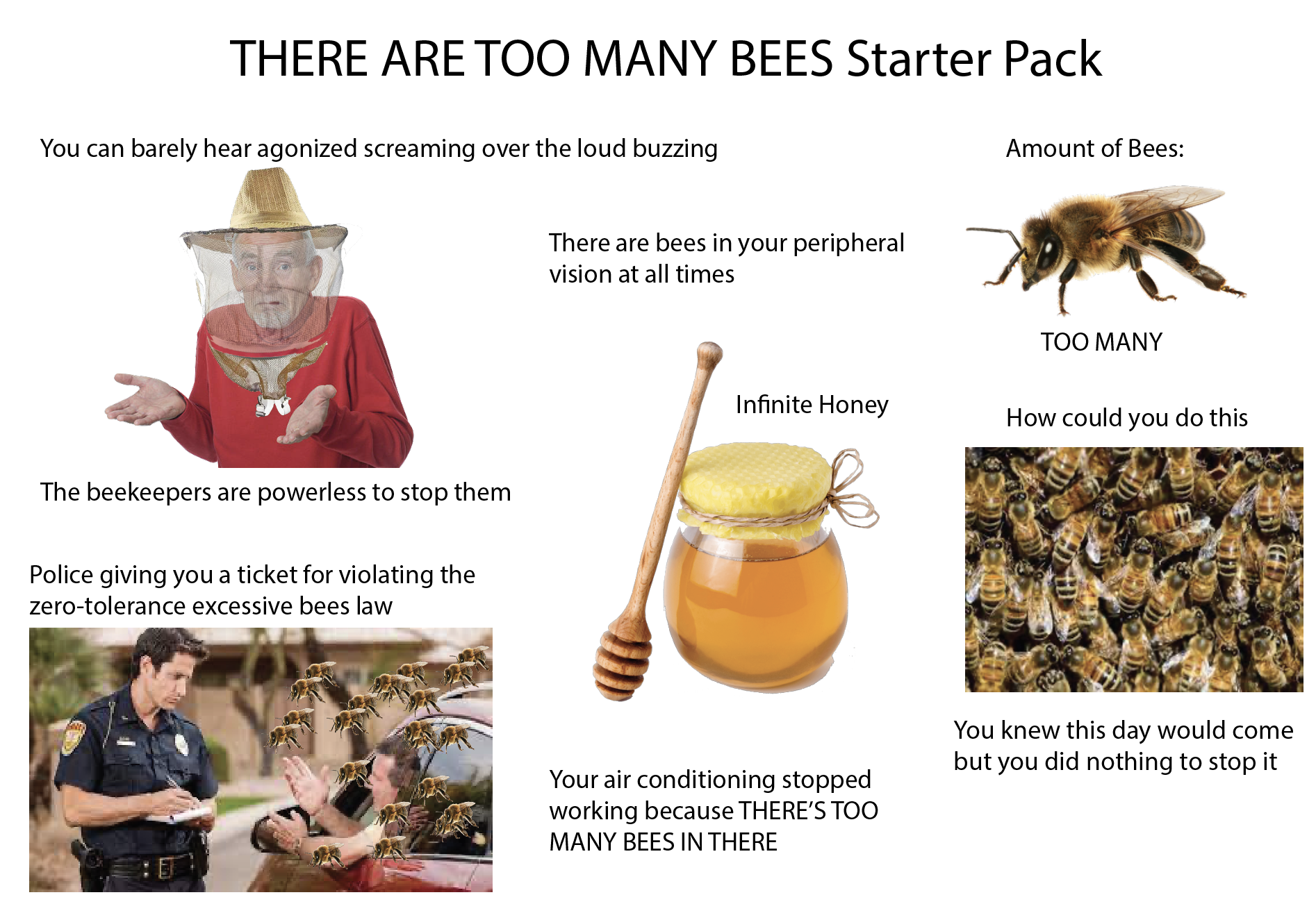 THERE ARE TOO MANY BEES Starter Pack | /r/starterpacks | Starter Packs ...