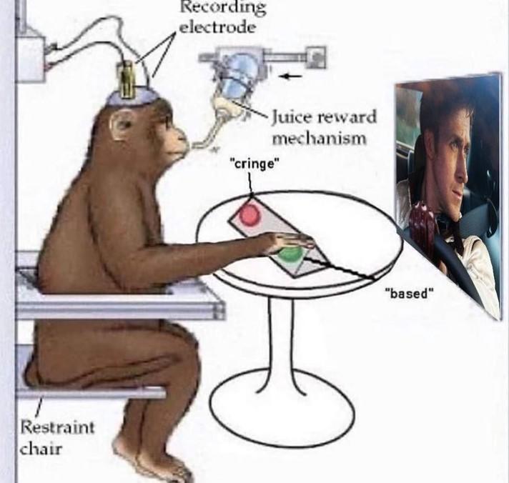 Monkey watching Drive | Stimulus Screen / Juice Reward Mechanism Monkey ...