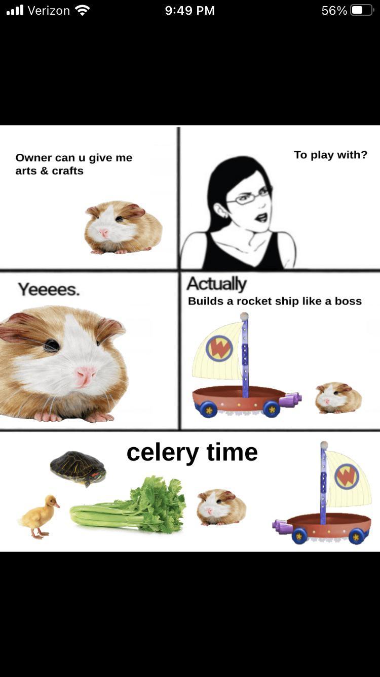 Celery | /r/okbuddyretard | OkBuddyRetard | Know Your Meme