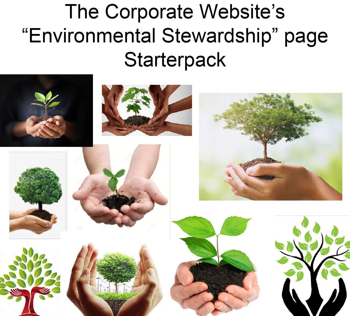 The Corporate Website’s “Environmental Stewardship” Page Starterpack ...