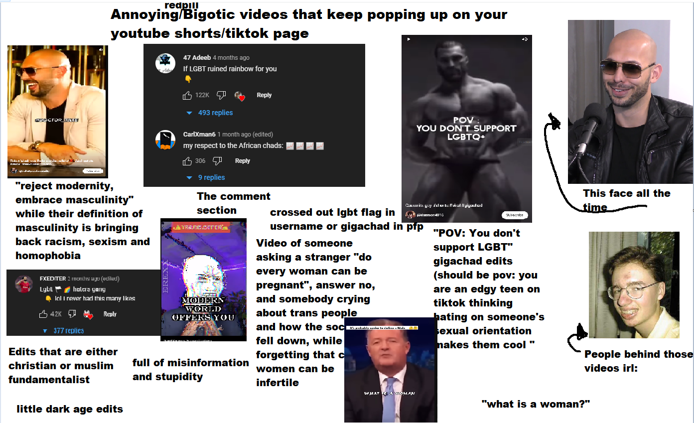 Annoying far-right homophobic "red pill" shorts/tiktoks on your f4u ...