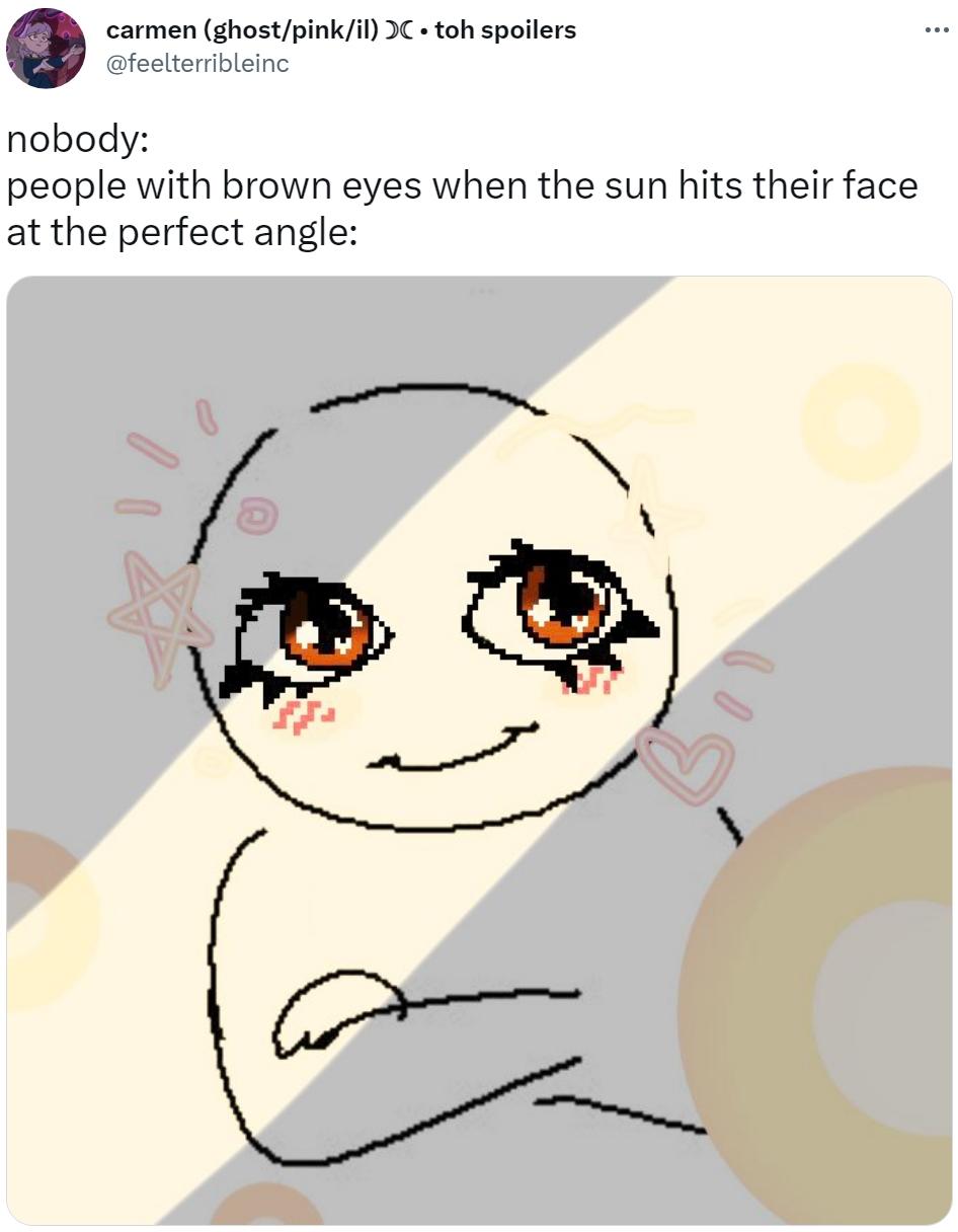 nobody: people with brown eyes when the sun hits their face at the ...